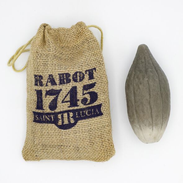 Pumice Pod Soap 135g