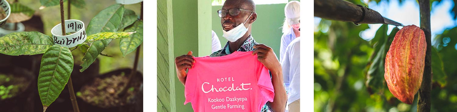 Gentle Farming | Ethics & Sustainability | Hotel Chocolat